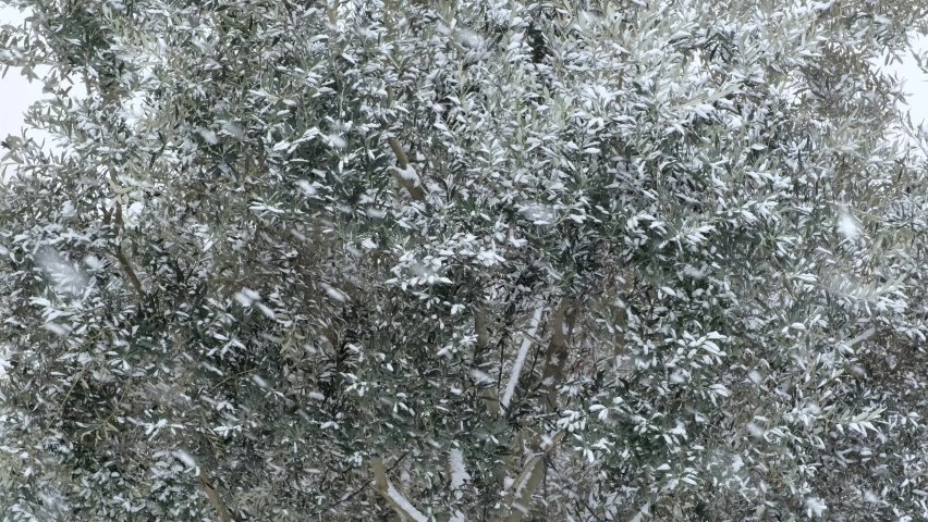 snowstorm texture background front view Stock Footage Video (100% ...