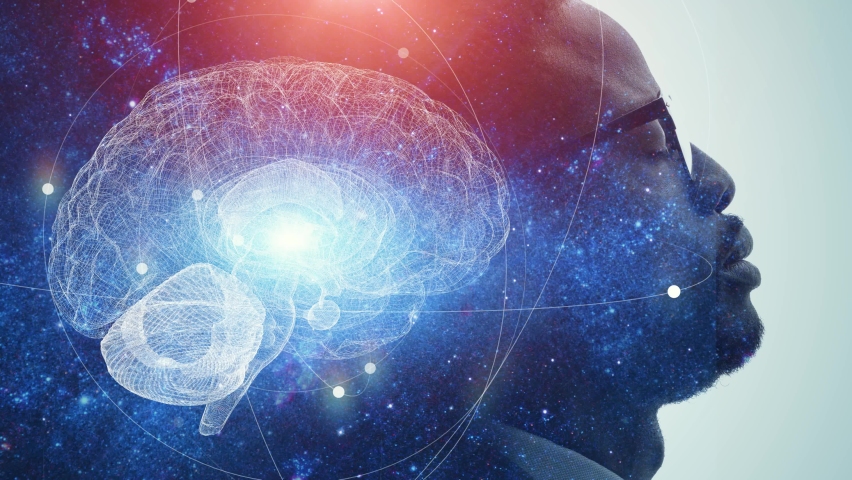 39 Prefrontal Cortex Stock Video Footage - 4K and HD Video Clips ...