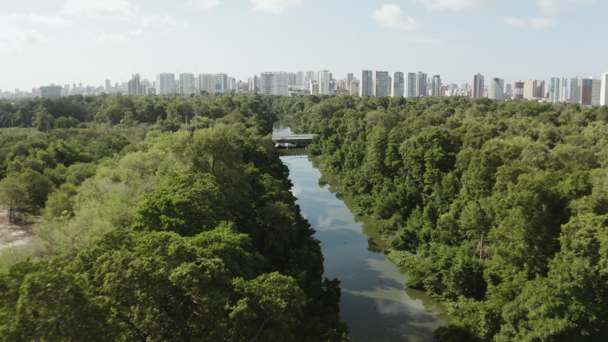 Parque do coco Stock Video Footage - 4K and HD Video Clips | Shutterstock