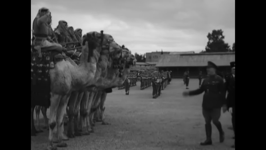 44 Police officer graduation Stock Video Footage - 4K and HD Video ...