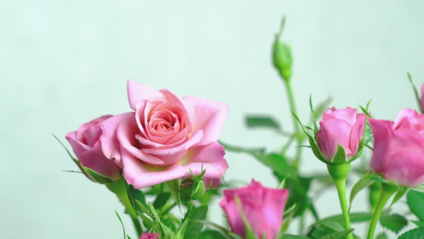 8 boxes layout Stock Video Footage - 4K and HD Video Clips | Shutterstock