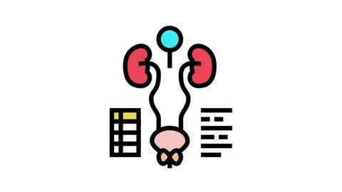 Examining Genitourinary System Color Icon Animation Stock Footage Video ...