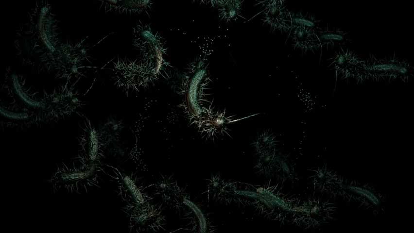 3-d animation microscopic bacteria grouping swimming Stock Footage ...