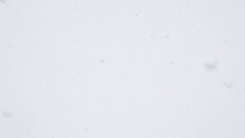 Snow Falling Overcast White Sky Low Stock Footage Video (100% Royalty ...