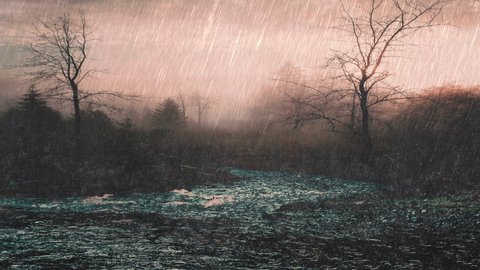 Sunset Rain Swamp Forest Stock Footage Video (100% Royalty-free ...