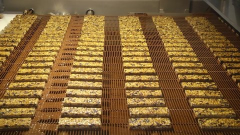 Technological Process Production Muesli Bars Automated Stock Footage ...