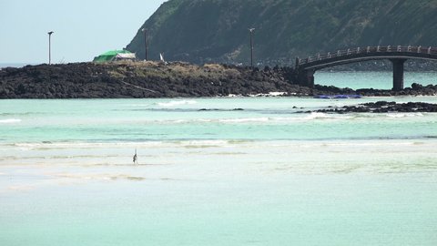 Jeju Island Summer Beach View Stork Stock Footage Video (100% Royalty ...