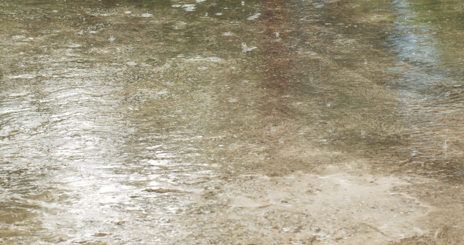Rain hits ground Stock Video Footage - 4K and HD Video Clips | Shutterstock