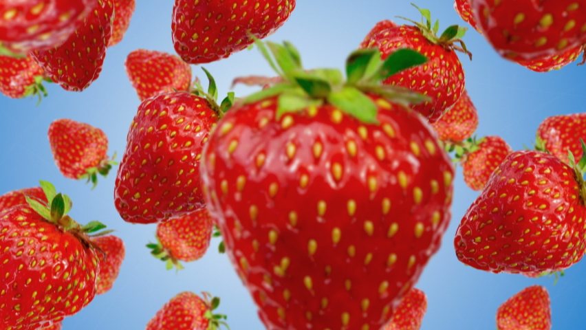 Fresh Strawberry Falling Down Slow Motion Stock Footage Video (100% ...