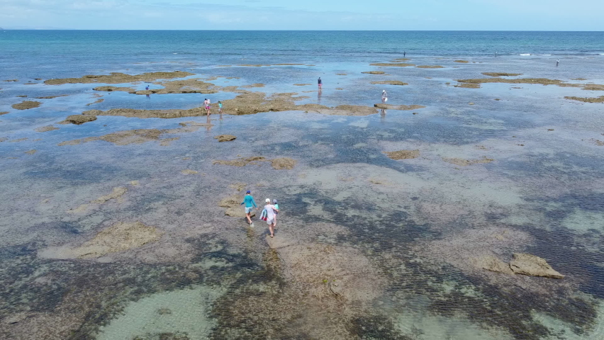 96 Kids tide pools Stock Video Footage - 4K and HD Video Clips ...