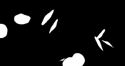 Rose Petals Flying Falling Air Overlay Stock Footage Video (100% ...