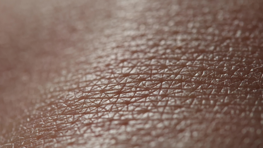 10,950 Skin 3d Stock Video Footage - 4K and HD Video Clips | Shutterstock
