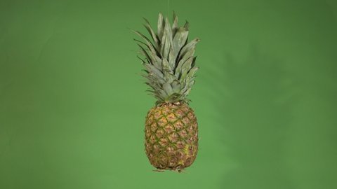 Front Green Screen Background Pineapple Rotates: วิดีโอสต็อก (ปลอดค่า ...