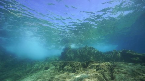 Beautiful View Underwater Fish Mossy Rocks Stock Footage Video (100% ...