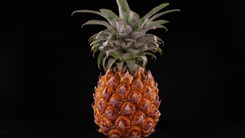 Pineapple Spinning On Black Background Stock Footage Video (100% ...