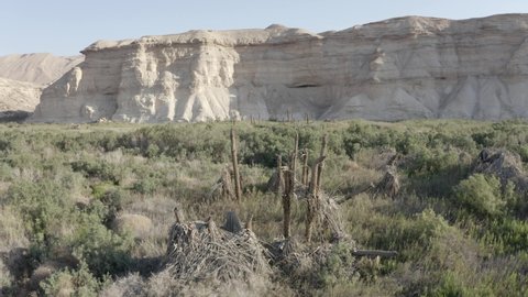 Stream Negev Desert Israel Stream Negev Stock Footage Video (100% ...
