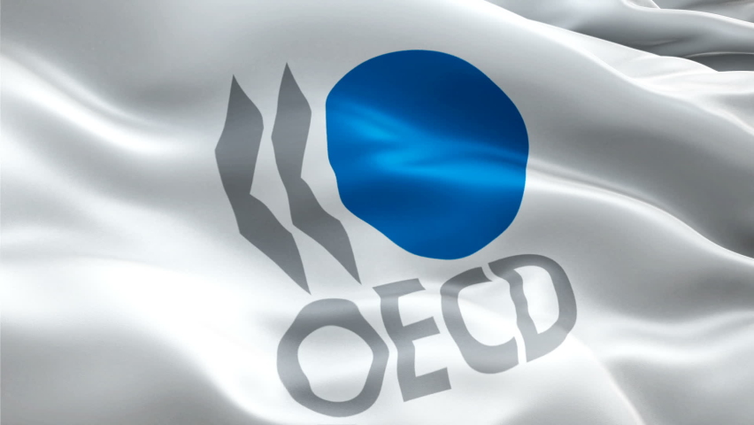 Oecd flags Stock Video Footage - 4K and HD Video Clips | Shutterstock