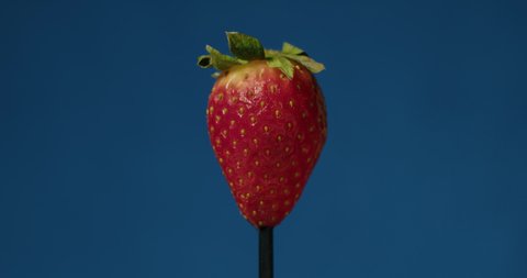 Spiked Strawberry Rotates Vertically Front Blue Stock Footage Video ...