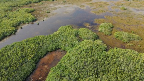 Tropical Swamp Wetlands Aerial View Stock Footage Video (100% Royalty ...