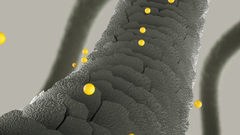 Hair Care Animation Nourish Hair Action Stock Footage Video (100% ...