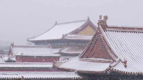 Roofs Imperial Halls Covered Heavy Snow Stock Footage Video (100% ...
