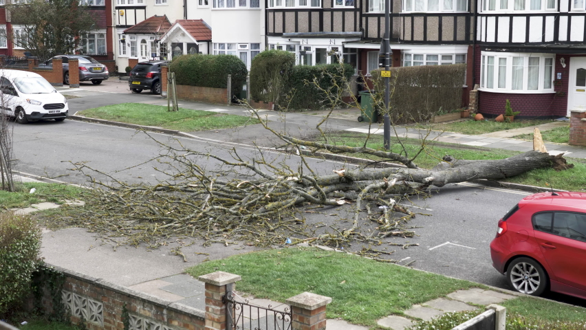 103 Toppling over Stock Video Footage - 4K and HD Video Clips ...