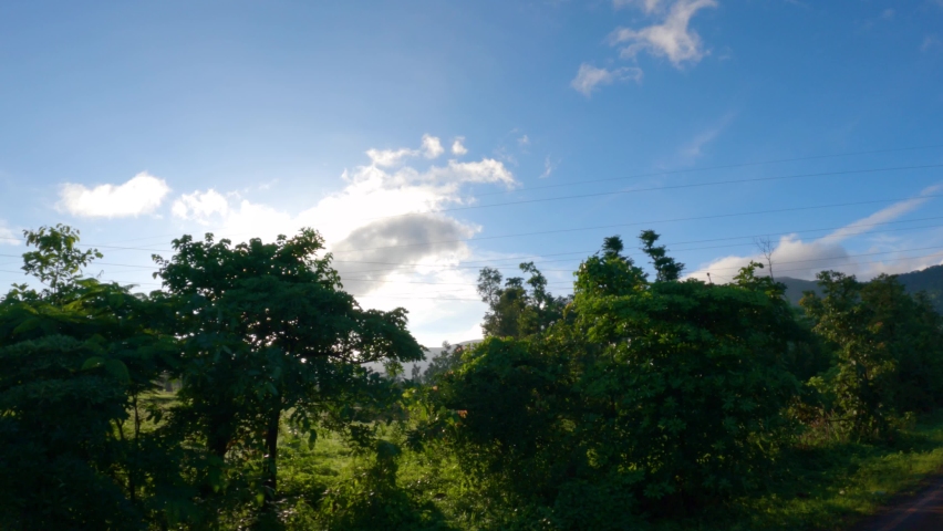 4k view sun rays through beautiful Stock Footage Video (100% Royalty ...