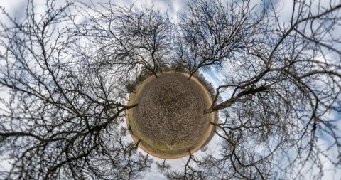 360 degree panorama forest Stock Video Footage - 4K and HD Video Clips ...