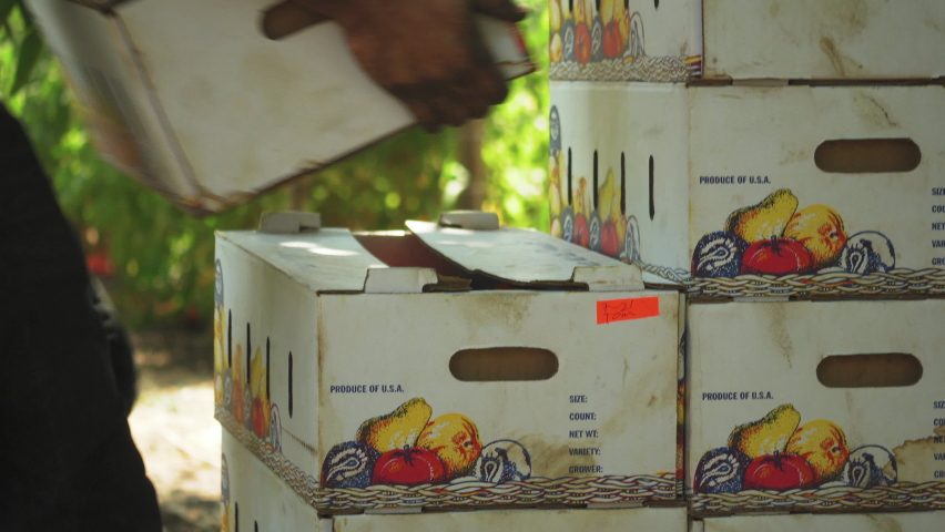 8 Cardboad box Stock Video Footage - 4K and HD Video Clips | Shutterstock