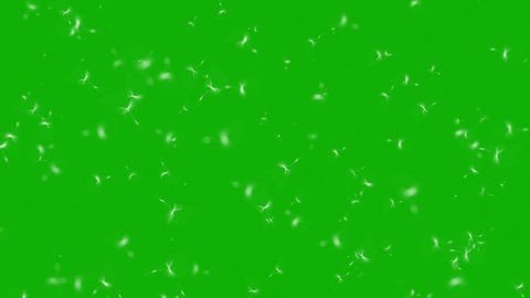 Flying Pollen Dust Motion Graphics Green Stock Footage Video (100% ...