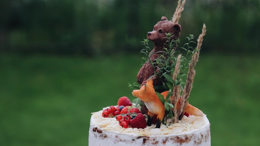 on top cake edible figures bear Stock Footage Video (100% Royalty-free ...