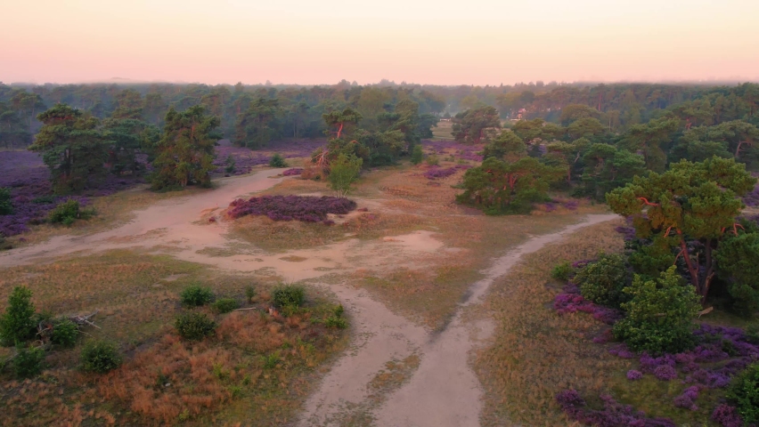 1,953 Heather field Stock Video Footage - 4K and HD Video Clips ...
