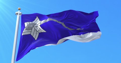 Branch Davidians Flag Waving Loop Stock Footage Video (100% Royalty ...