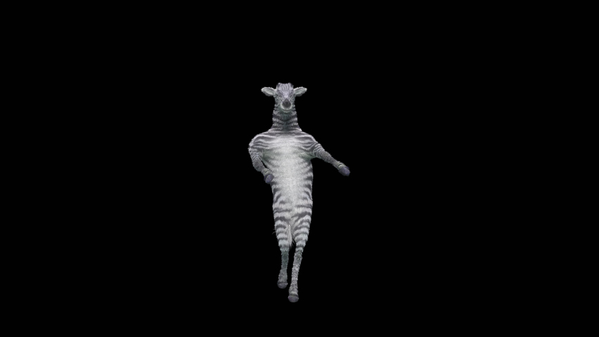 zebra dancing 3d rendering animation loop Stock Footage Video (100% ...