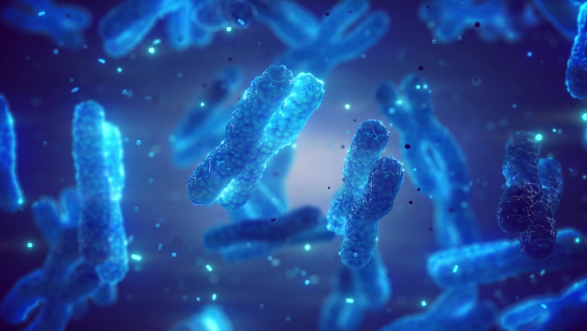 4,793 Inheritance Stock Video Footage - 4K and HD Video Clips ...