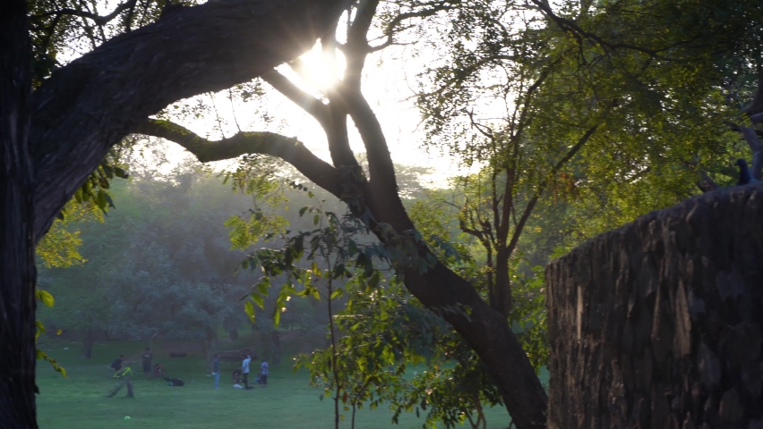 tree sunset park people playing around Stock Footage Video (100% ...