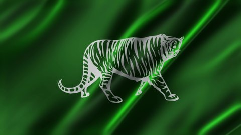 Flag Pakistan Muslim League Pml Country Stock Footage Video (100% ...