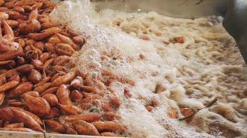Washing Sorting Sweet Potatoes Agricultural Packing Stock Footage Video ...