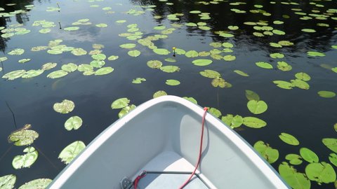 Asmr Stock Video Footage - 4K and HD Video Clips | Shutterstock