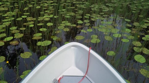 Asmr Stock Video Footage - 4K and HD Video Clips | Shutterstock