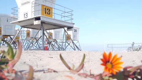 Lifeguard Stand Flower Life Guard Tower Stock Footage Video (100% ...