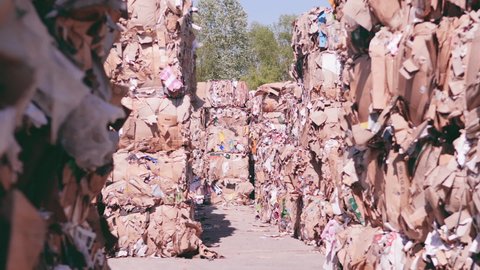 Paper Waste Landfill Pressed Waste Paper Stock Footage Video (100% ...