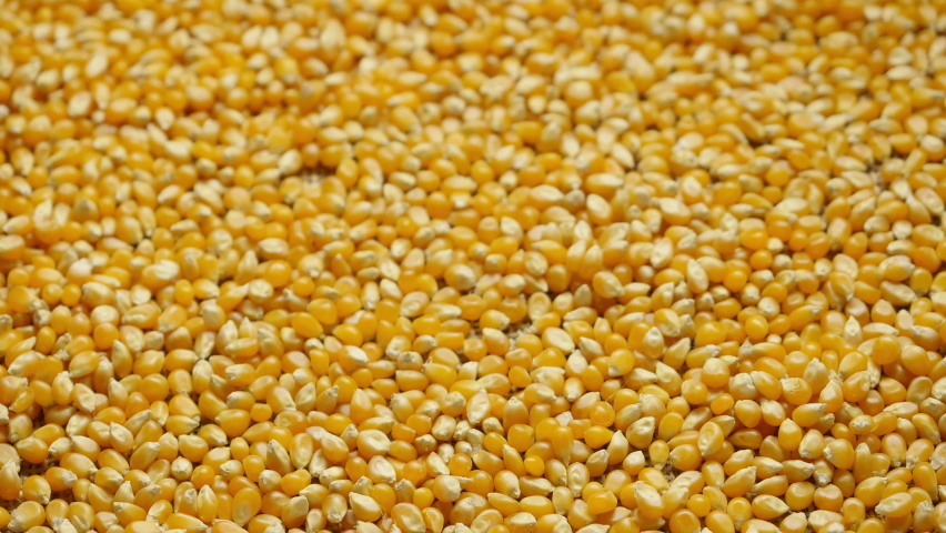 Pouring Corn Grains Into Plate Stock Footage Video (100% Royalty-free ...