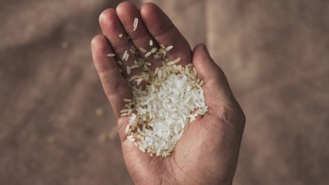 Rice Dirty Male Hands Hunger Poverty Stock Footage Video (100% Royalty ...