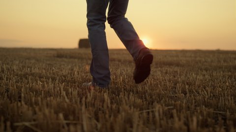 Closeup Farmer Boots Walk Haystack Field Stock Footage Video (100% ...