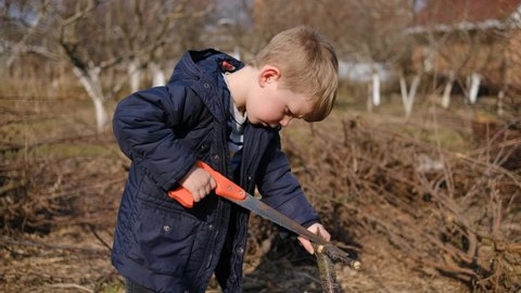 Little Boy Helps His Dad Prune Stock Footage Video (100% Royalty-free ...