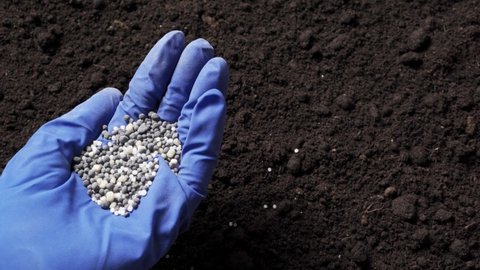Mineral Fertilizer Hand Fertilizing Soil Mineral Stock Footage Video ...