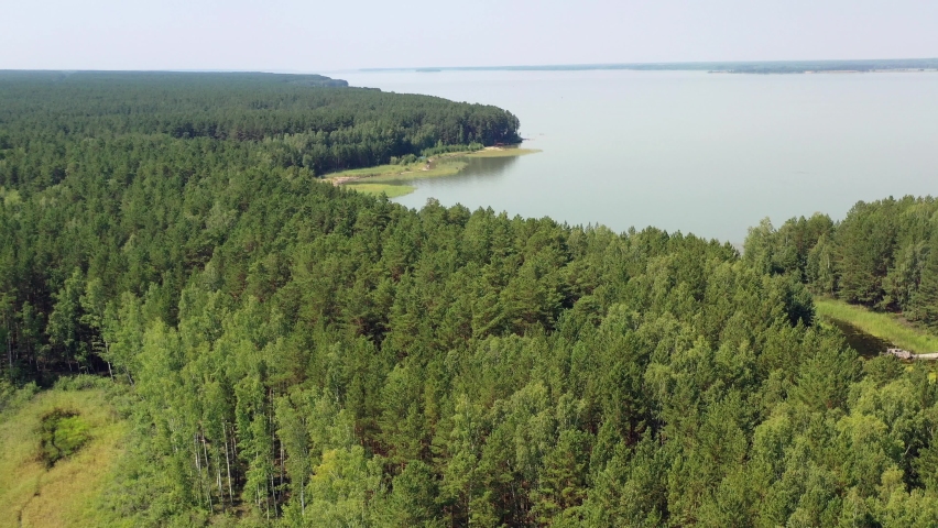 Karakan forest Stock Video Footage - 4K and HD Video Clips | Shutterstock