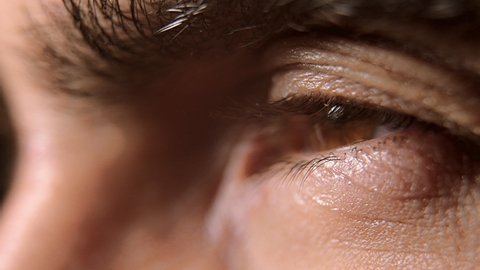 Closeup Brown Eye Blinking Slow Motion Stock Footage Video (100% ...