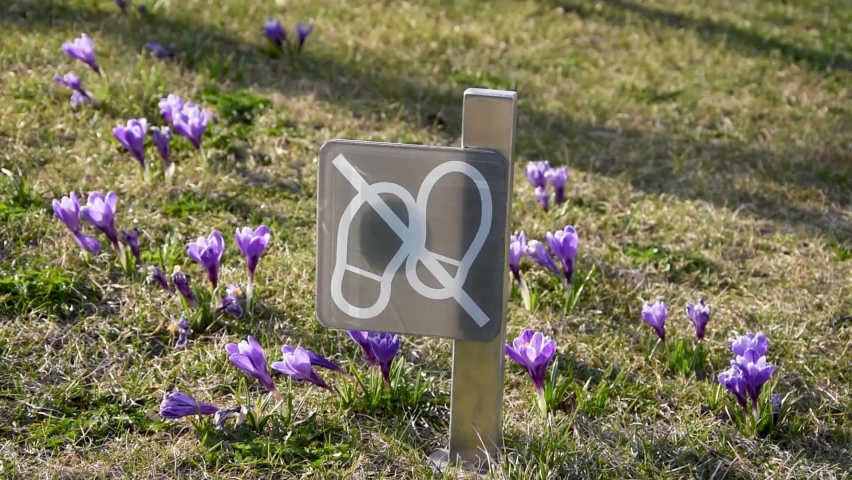 don't step on flowers sign keeping Stock Footage Video (100% Royalty ...